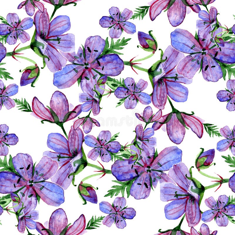 Watercolor Floral Seamless Pattern with Forest Geranium Flowers on ...