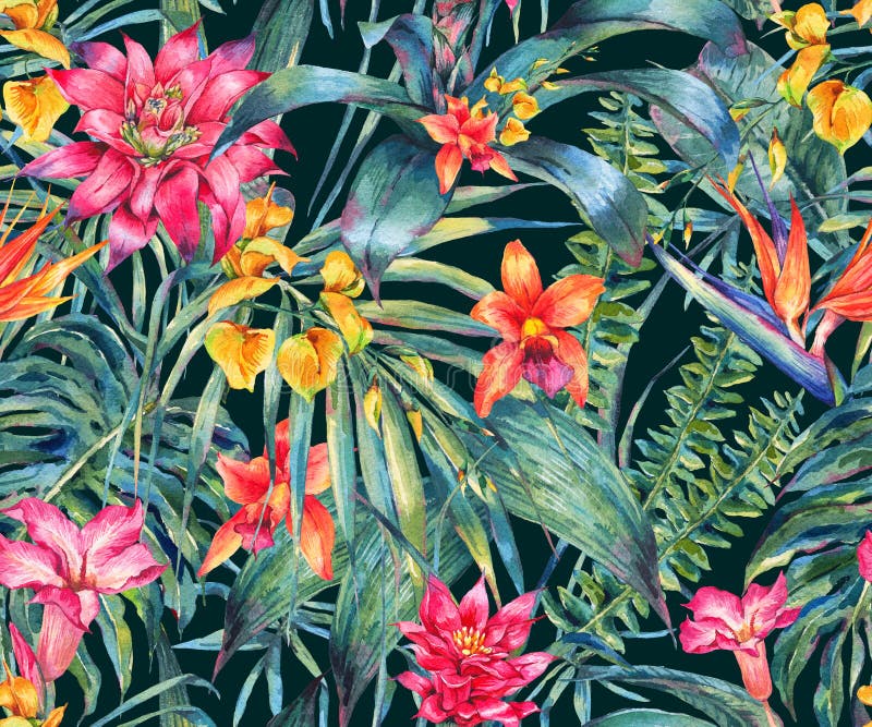 Tropical Seamless Pattern With Exotic Flowers Stock Illustration