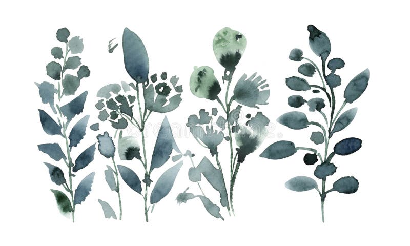 Watercolor Flowers. Hand Painted Abstract Botanical Illustrations ...