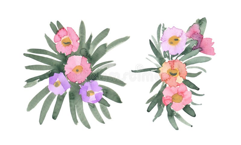 Watercolor Flowers. Hand Painted Abstract Botanical Illustrations ...