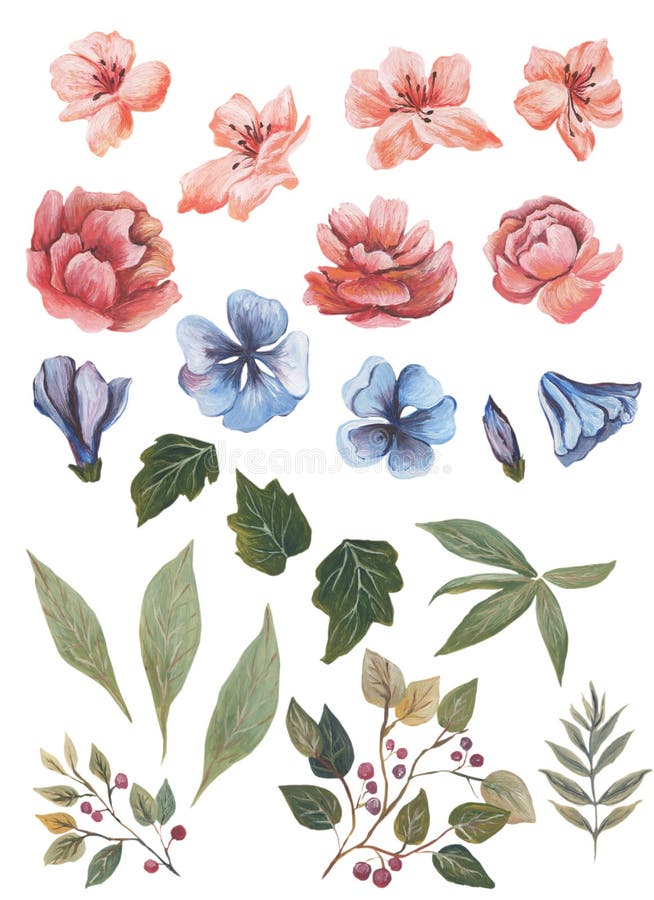 Watercolor Flowers Set for Different Design Editorial Photo ...