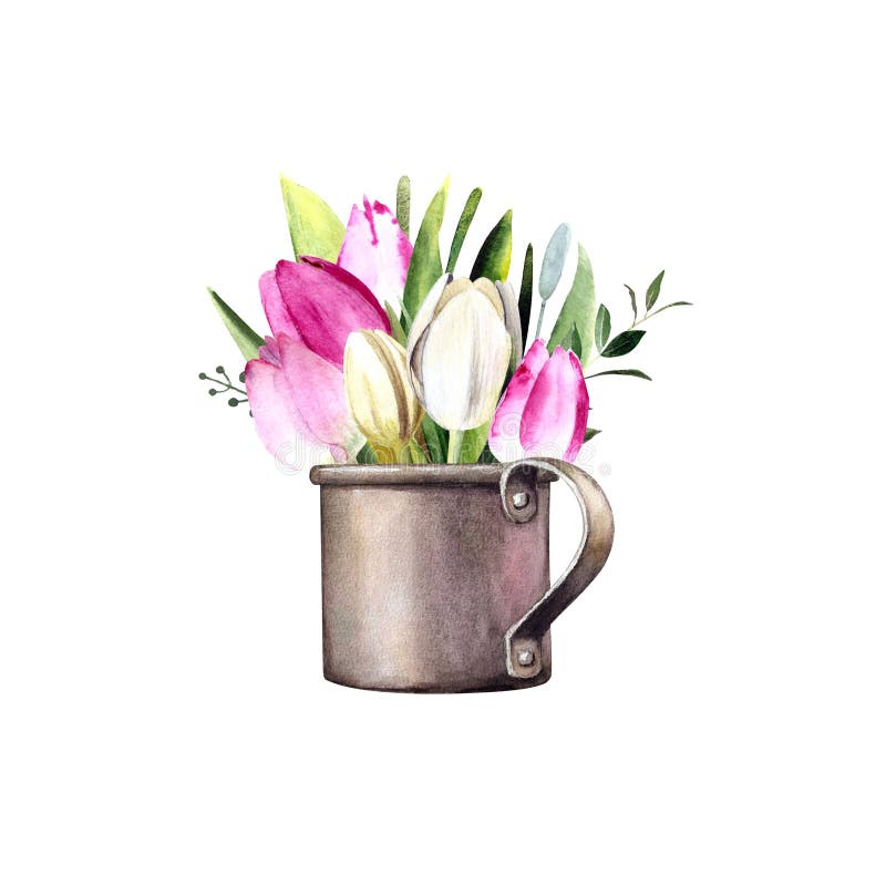 Watercolor Flowers. Spring Flowers. Tulips in a Cup Stock Image - Image ...