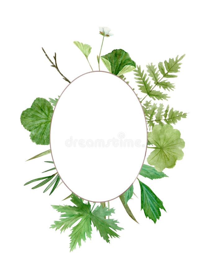Watercolor Forest Greenery Frame. Perfect for Logo and Wedding ...