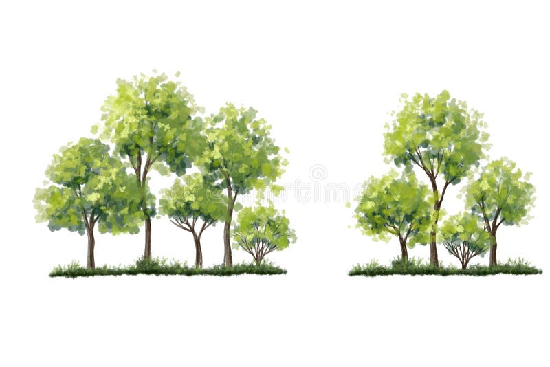 Watercolor Forest or Tree Side View Isolated on White Background for ...