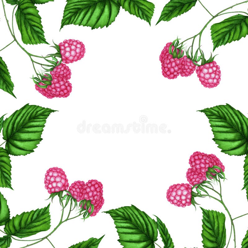 Watercolor Frame of Forget-me-not Flowers. Stock Image - Image of ...