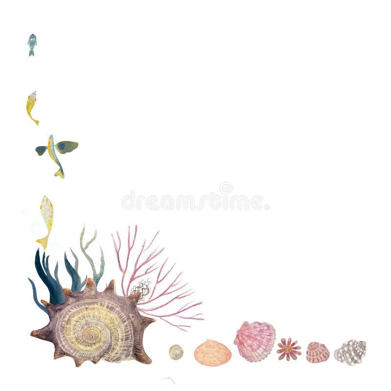 Watercolor Frame Underwater Life Isolated on White Stock Illustration ...