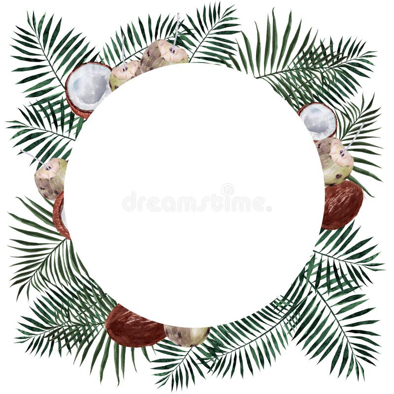 Watercolor Frames with Coconut Leaves and Fruits Stock Image - Image of ...