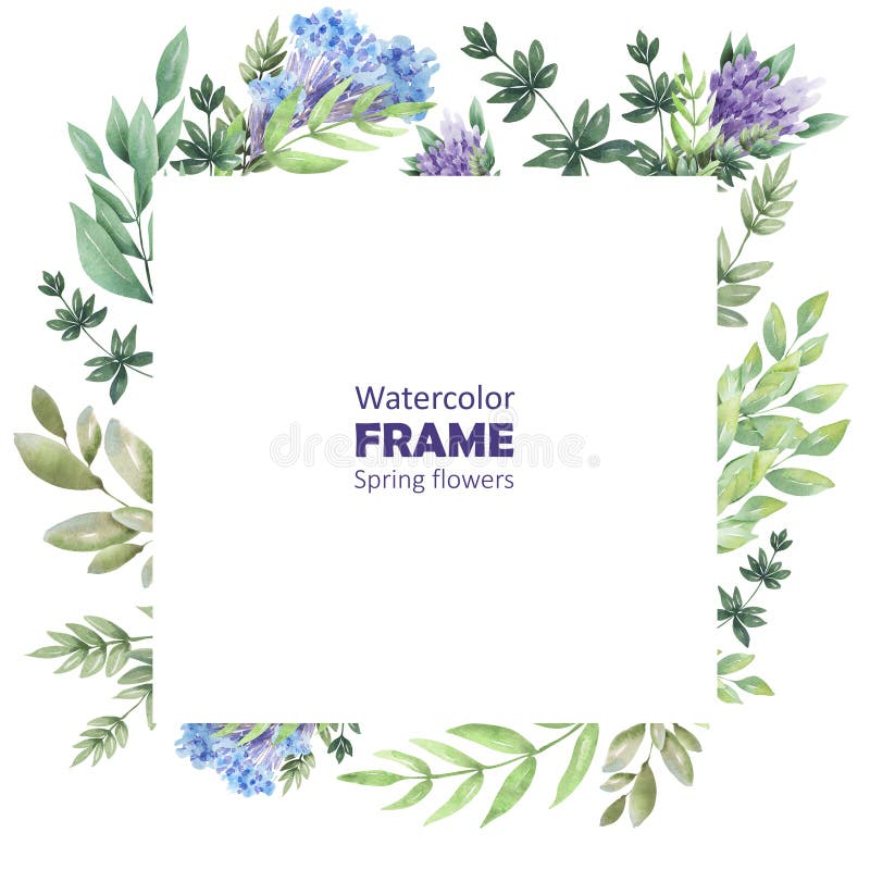 Watercolor Frames Spring Delicate Flowers Stock Illustration ...