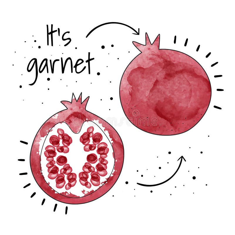 Garnet Vector Stock Illustrations – 6,764 Garnet Vector Stock ...