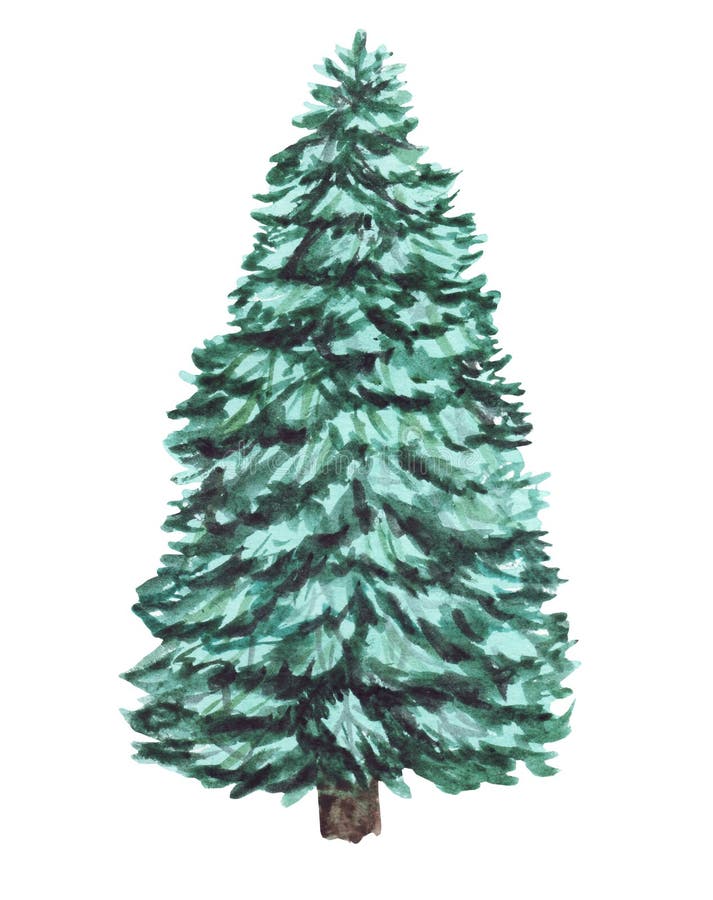 Watercolor Green Christmas Tree On White Background Isolated Hand