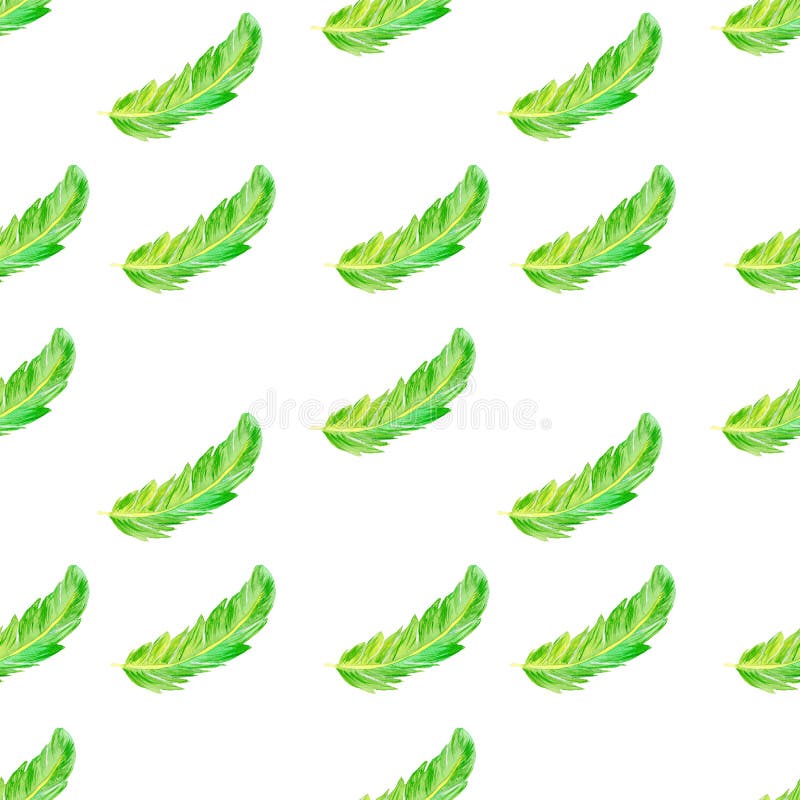 Watercolor Feathers Seamless Pattern Isolated on White Background. Boho ...
