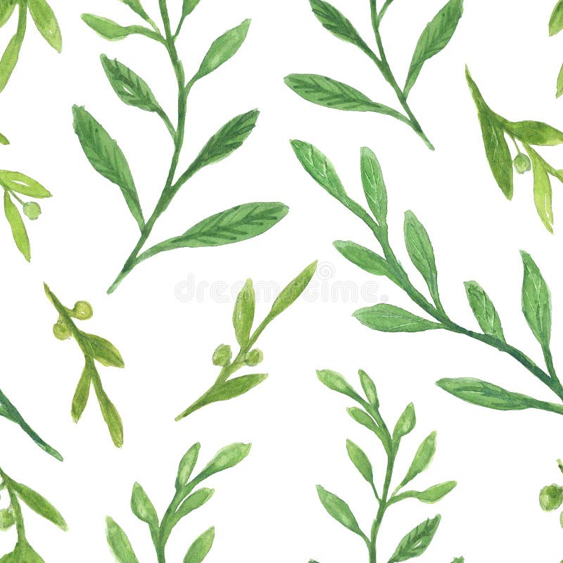Watercolor Green Leaf Illustration, Seamless Pattern Stock Illustration ...