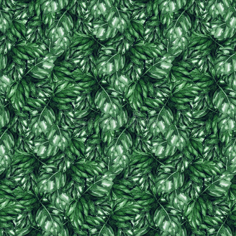 Watercolor Green Leaf Tropical Exotic Plant Seamless Pattern Stock ...