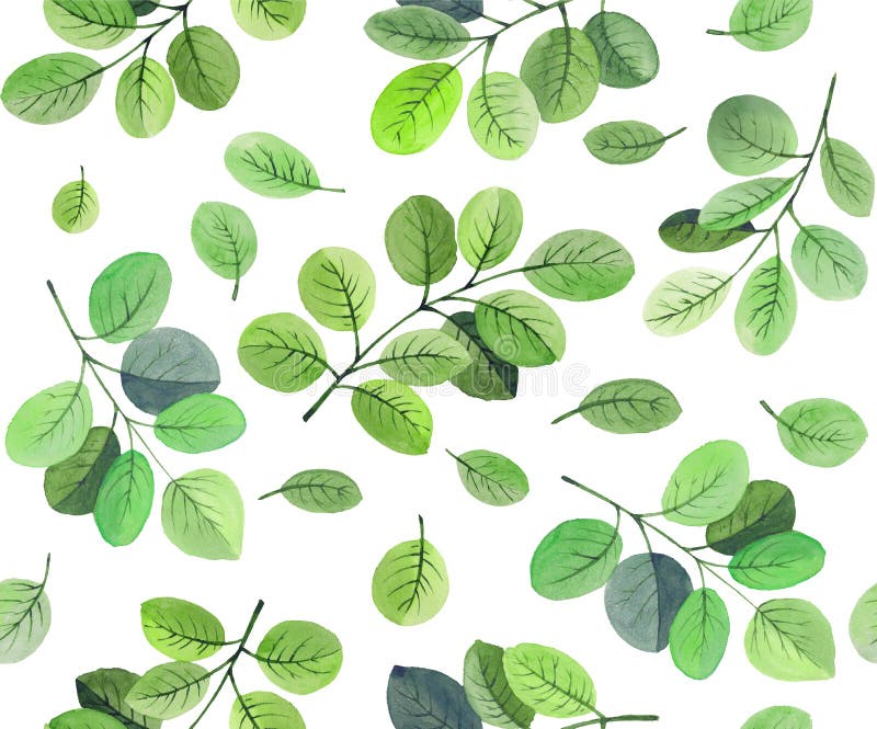 Watercolor Green Leaf White Background Pattern Stock Illustration ...
