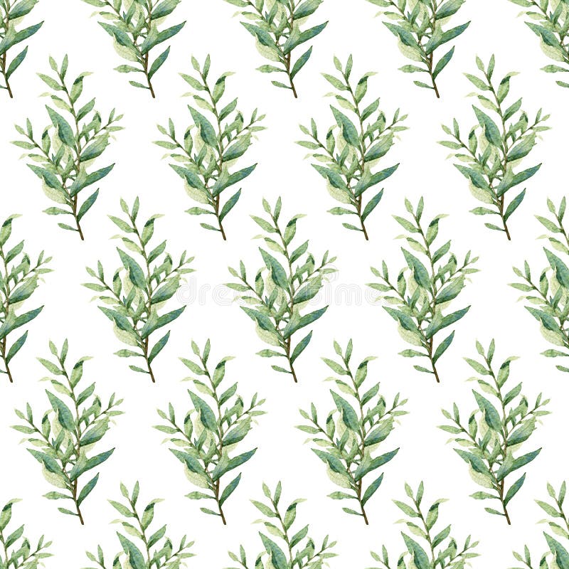 Watercolor Greenery Seamless Pattern, Floral Texture on White Stock ...