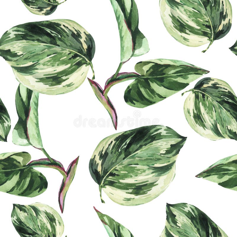 Watercolor Greenery Seamless Pattern. Watercolor Tropical Leaves Stock ...