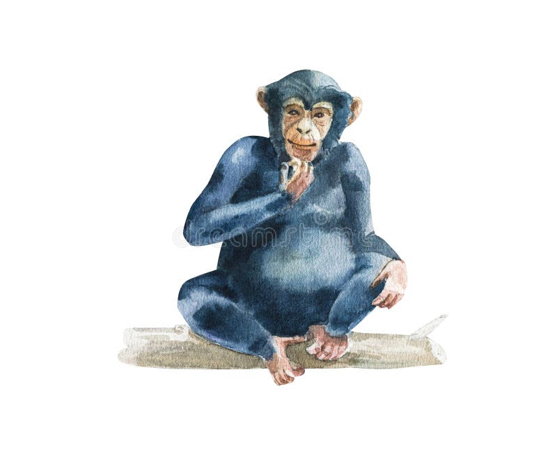 Hand Monkey Realistic Stock Illustrations – 739 Hand Monkey Realistic ...