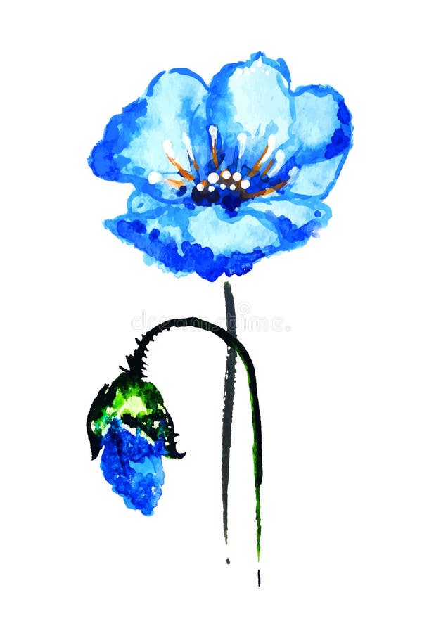 Watercolor Hand Drawing Blue Flower Stock Vector - Illustration of ...