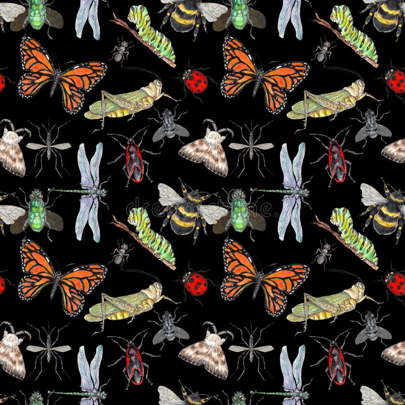 Watercolor Hand Drawn Artistic Colorful Insects Collection Seamless ...