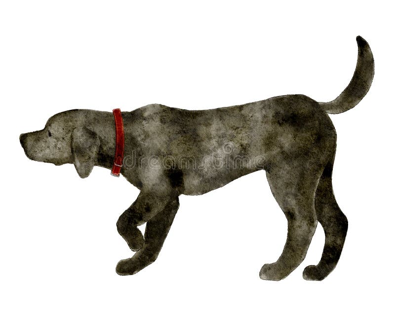 Watercolor Hand Drawn Black Dog with a Red Collar in Side View Stock ...
