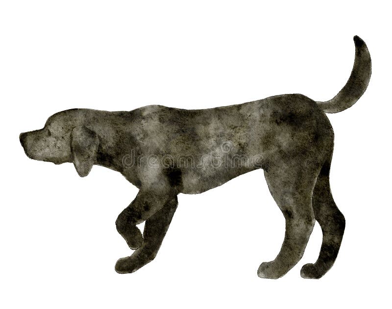 Watercolor Hand Drawn Black Dog in Side View Stock Photo - Image of ...