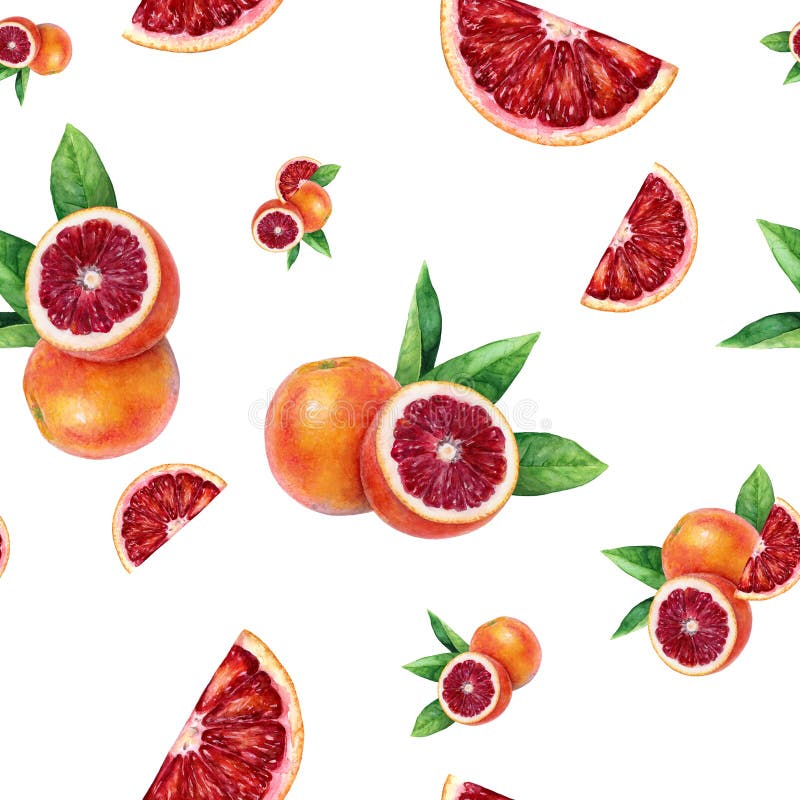 Watercolor Hand Drawn Blood Orange Seamless Pattern. Stock Illustration ...