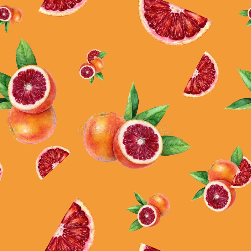 Watercolor Hand Drawn Blood Orange Seamless Pattern. Stock Illustration ...