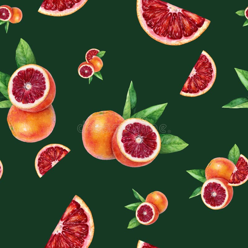 Watercolor Hand Drawn Blood Orange Seamless Pattern. Stock Illustration ...