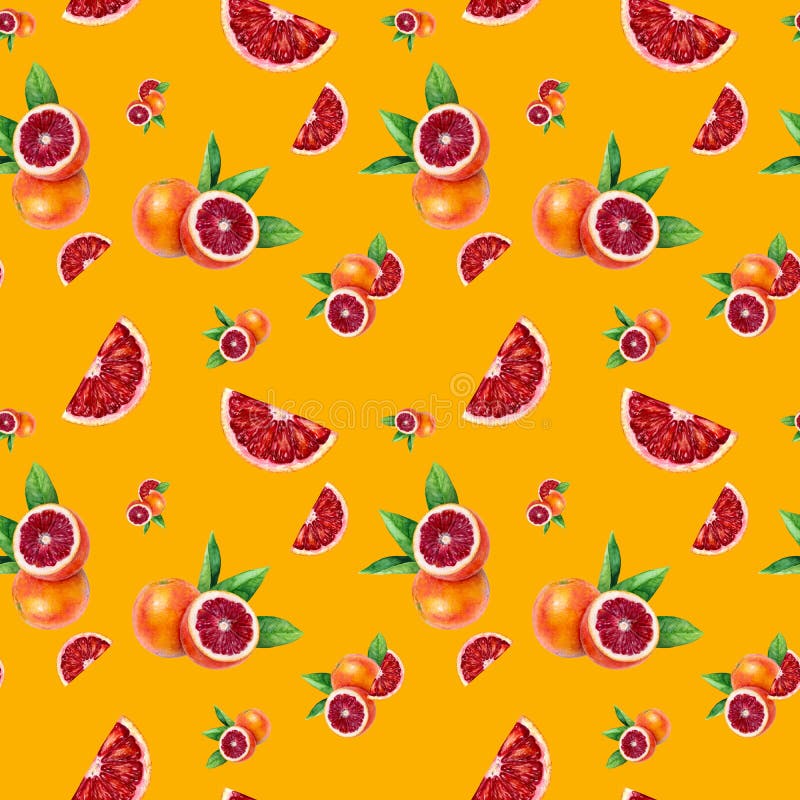 Blood Orange Watercolor Illustration Stock Image - Image of coloring ...