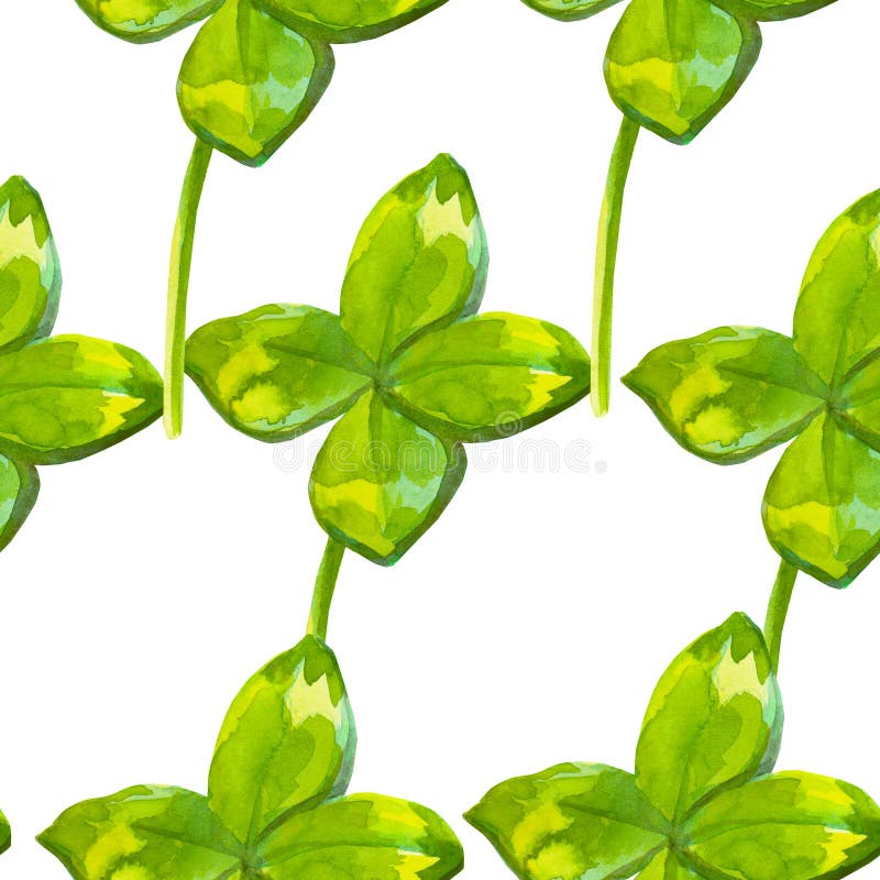Watercolor Hand Drawn Clover Leaf Seamless Pattern Isolated on White ...