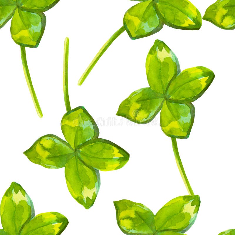 Watercolor Hand Drawn Clover Leaf Seamless Pattern Isolated on White ...
