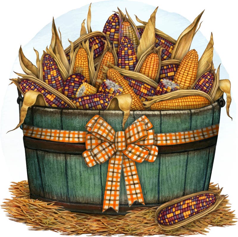 Watercolor Hand Drawn Corn Cobs Composition Stock Vector - Illustration ...