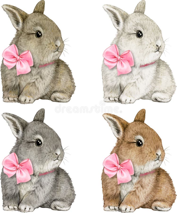 Watercolor Hand Drawn Realistic Oranges and Orange Flowers Stock Image ...