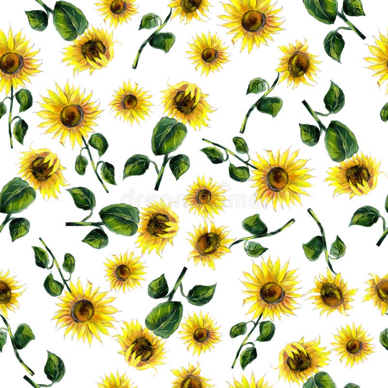 Watercolor Hand Drawn Garden Sunflower Seamless Pattern Stock ... Watercolor Hand Drawn Garden Sunflower Seamless Pattern Stock ...