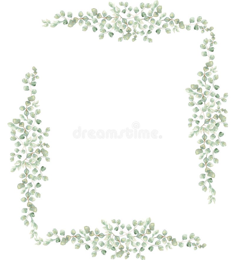 Watercolor Hand Drawn Greenery Frame Illustration, Eucalyptus Border ...