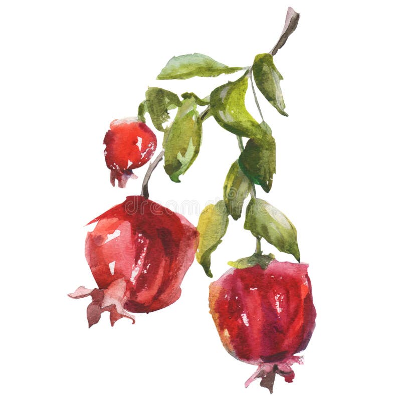 Hand Drawn Set of Fireworks. Stock Vector - Illustration of festive ...