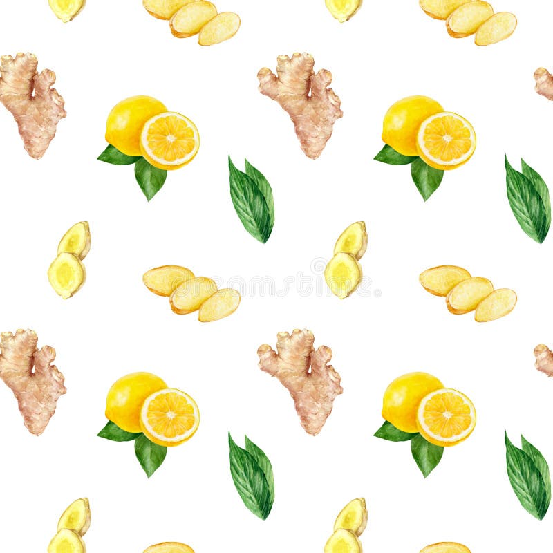 Watercolor Hand Drawn Lemon, Ginger Seamless Pattern. Stock ...