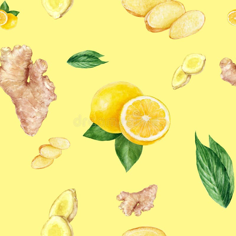 Watercolor Hand Drawn Lemon, Ginger Seamless Pattern. Stock ...