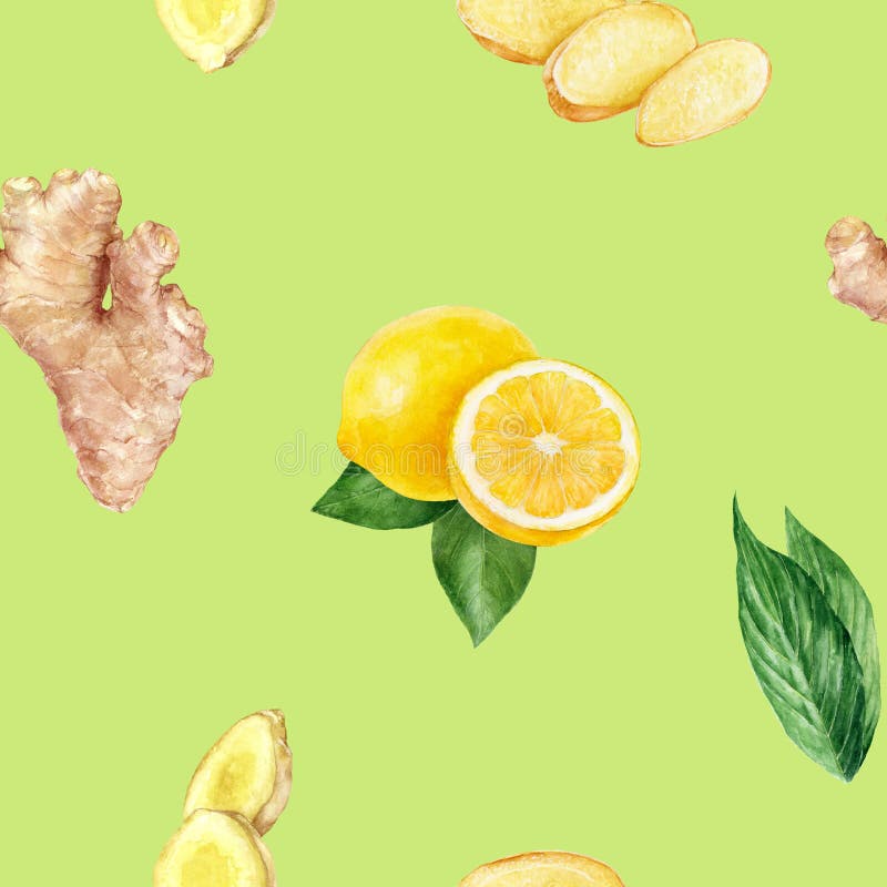 Watercolor Hand Drawn Lemon, Ginger Seamless Pattern. Stock ... Watercolor Hand Drawn Lemon, Ginger Seamless Pattern. Stock ...