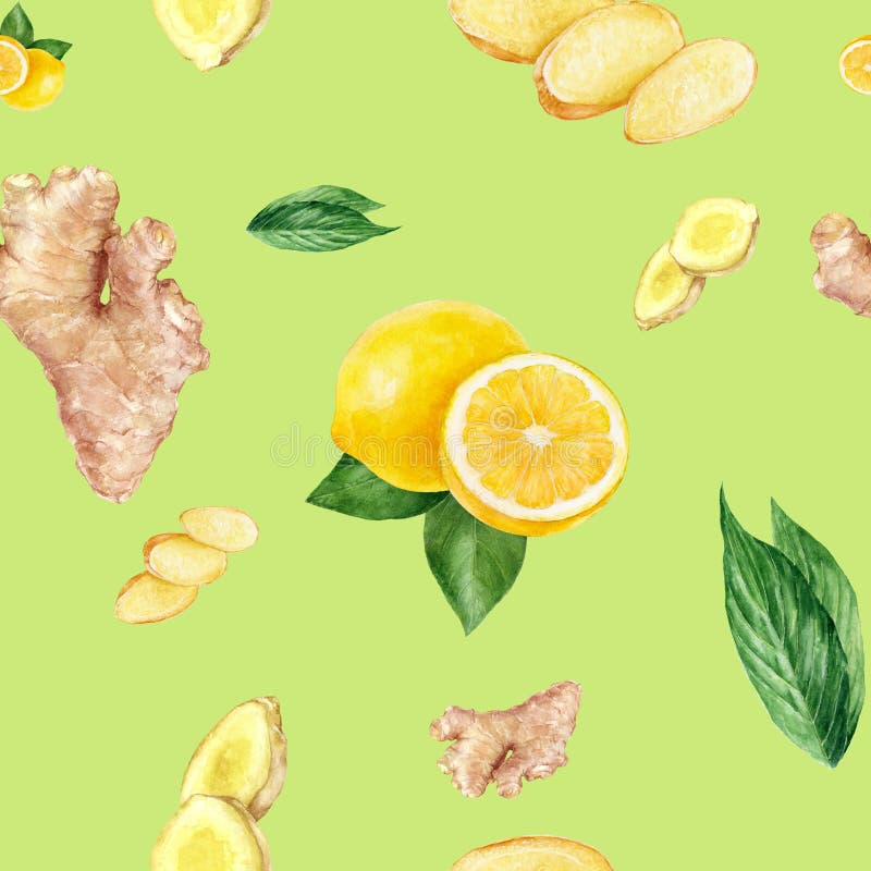 Watercolor Hand Drawn Lemon, Ginger Seamless Pattern. Stock ...
