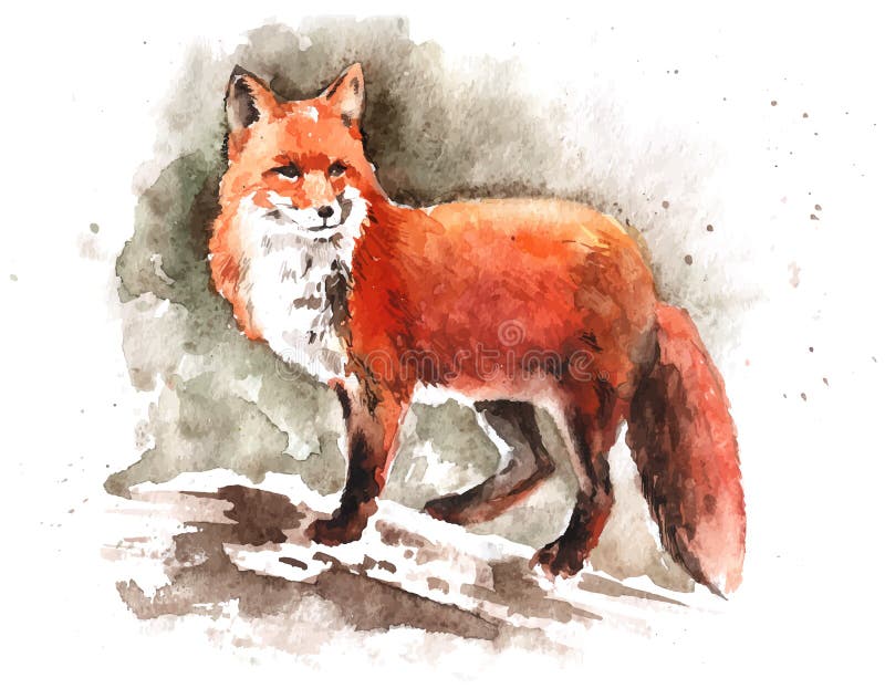 Red Fox Stock Illustrations – 23,441 Red Fox Stock Illustrations ...