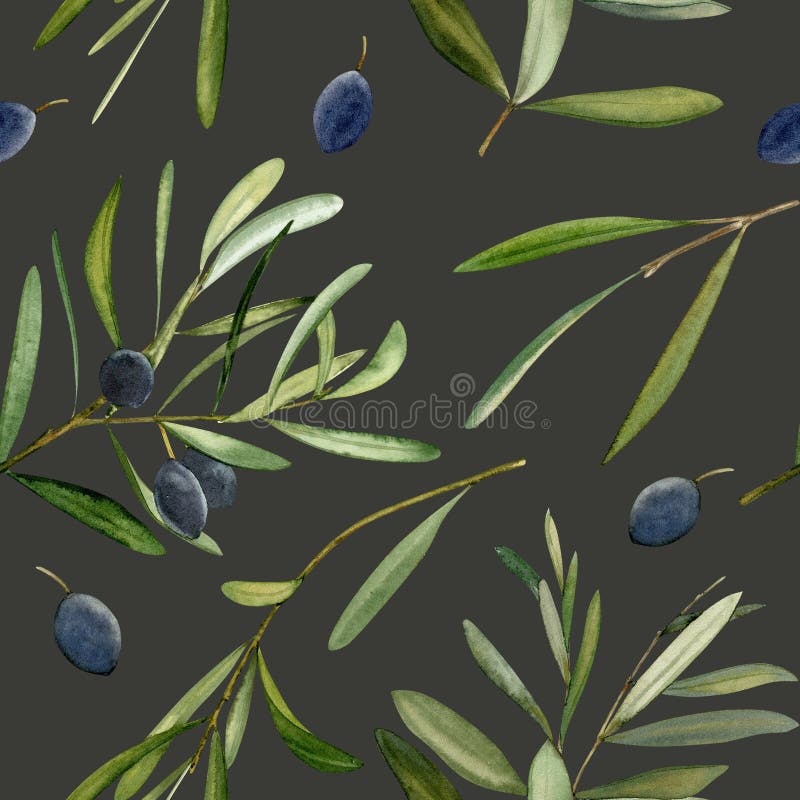 Watercolor Hand Drawn Seamless Pattern with Olive Leaf and Olives ...
