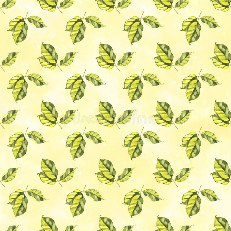 Watercolor Hand Drawn Seamless Pattern with Spring Tender Leaves Stock ...