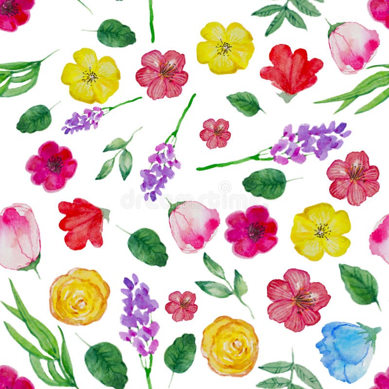 Watercolor Hand Drawn Simple Flowers, Flourish Pattern, Different Wild ...