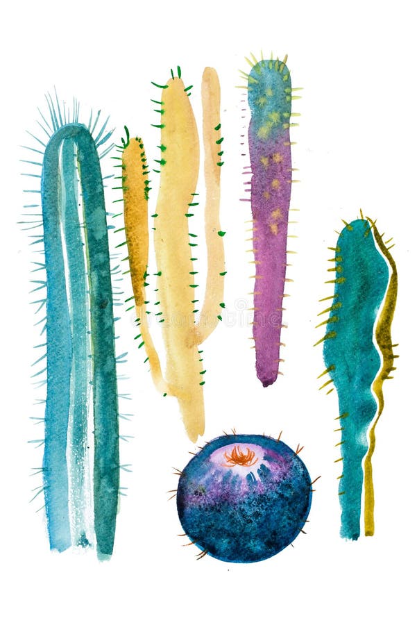 Watercolor Hand Drawn Spiky Cactus Bloom Flower. Stock Illustration ...