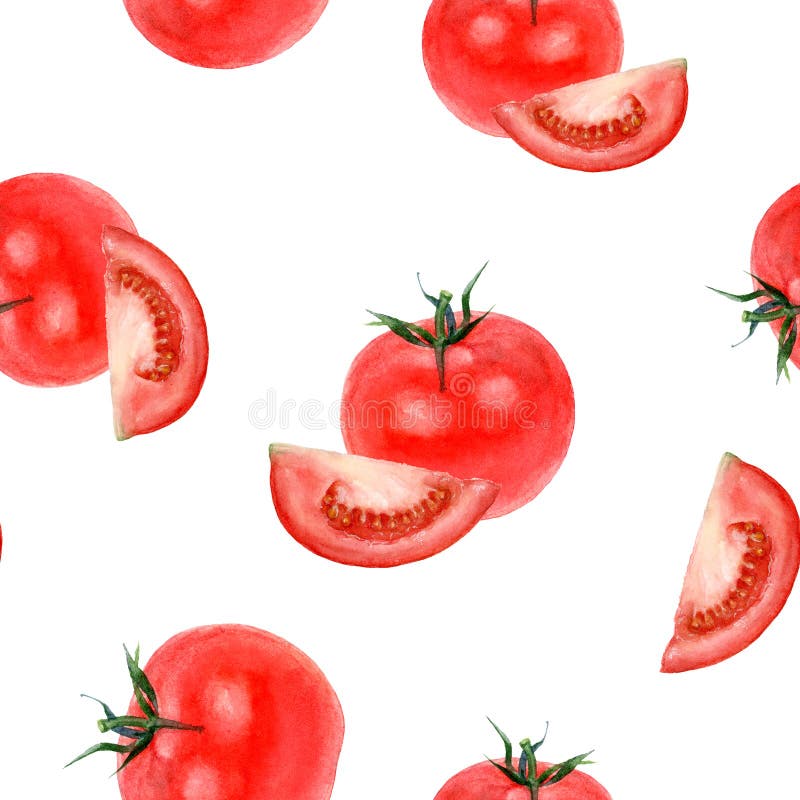 Watercolor Hand Drawn Tomatoes Isolated Seamless Pattern. Stock ...