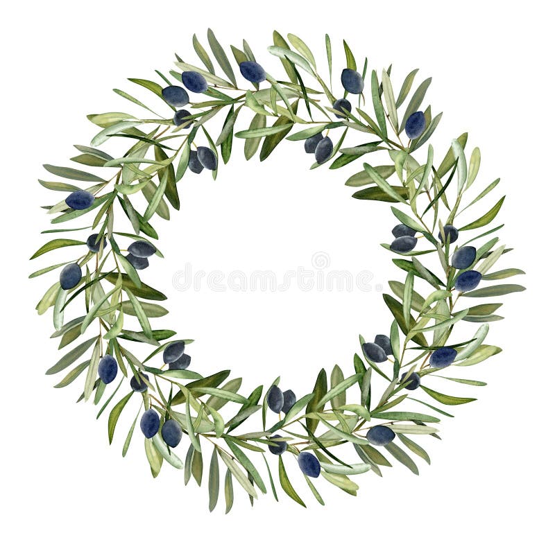 Watercolor Hand Drawn Wreath with Olive Leaf and Olives. Stock ...