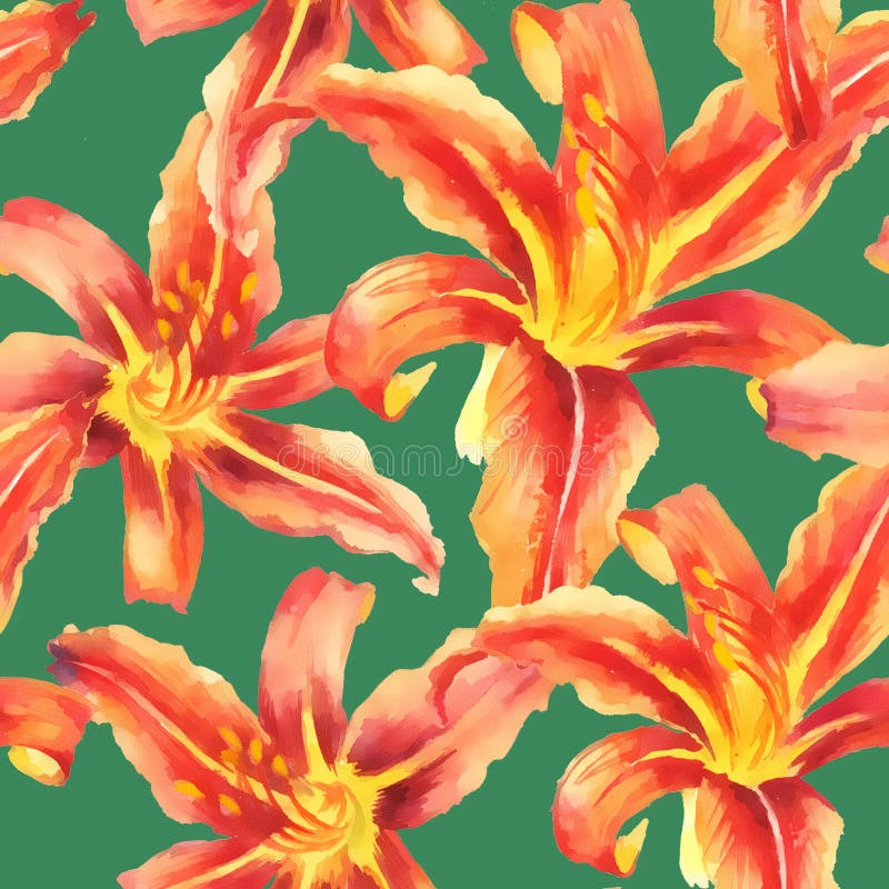 Watercolor Hand Paint Orange Lily, Seamless Pattern Stock Illustration ...