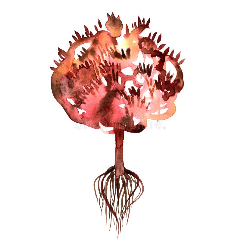 Watercolor Hand Painted Red Autumn Tree and Roots Stock Illustration ...