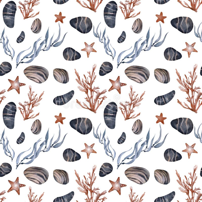 Watercolor Hand Painted Seamless Pattern with Black Pebbles Shells and ...